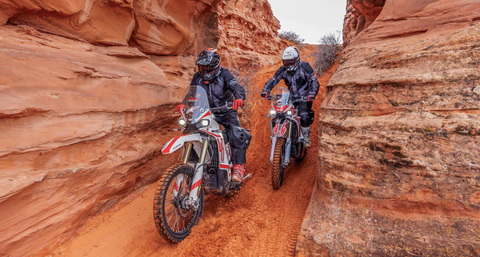 MX Store – MXSTORE